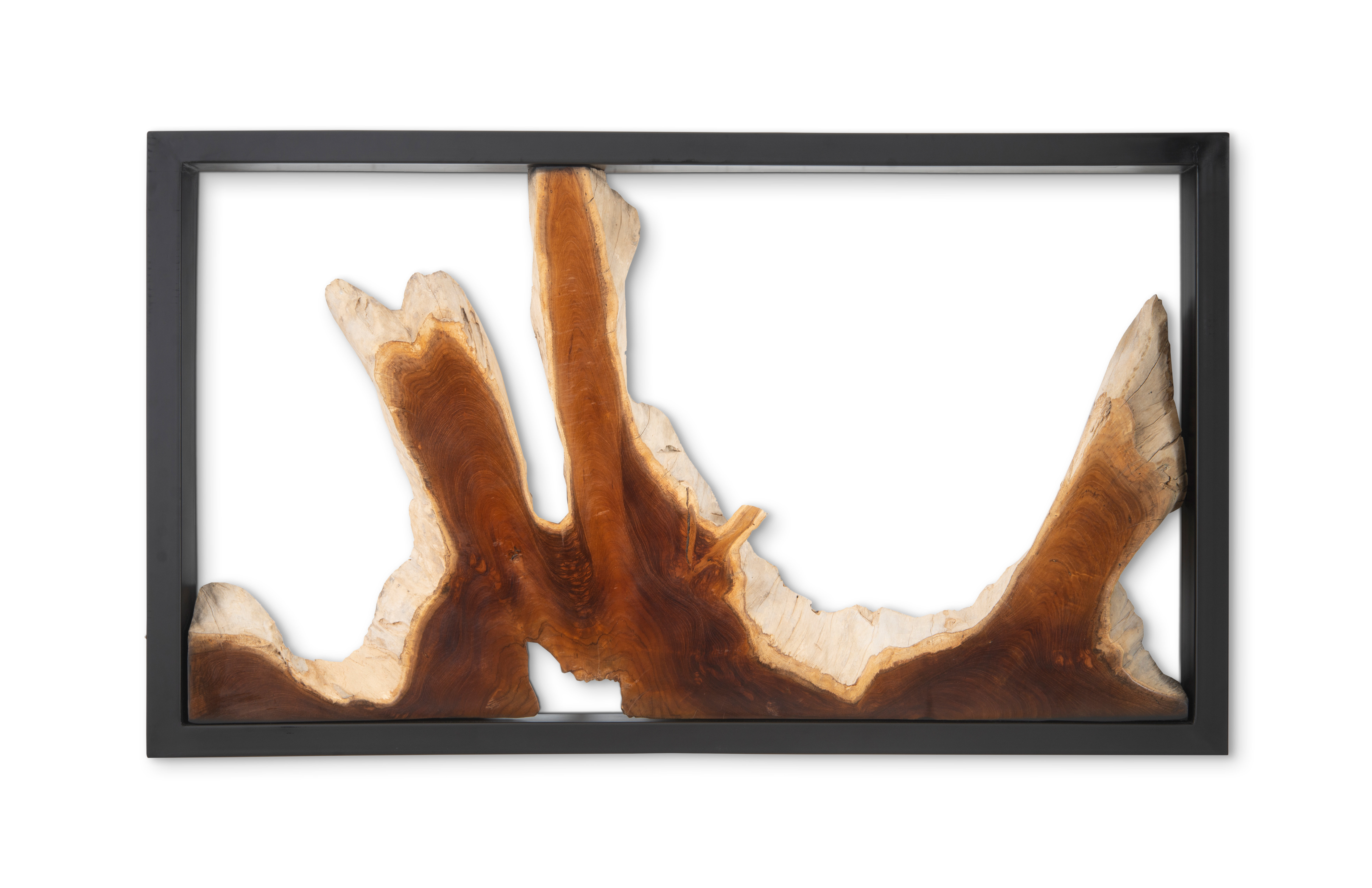 Phillips Collection Framed Root Wall Décor | Wayfair