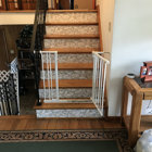 Three Posts™ Chamlee Peel & Stick Floral Wallpaper & Reviews | Wayfair