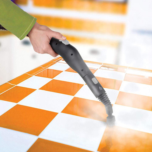 Steamfast Steam Fast Canister Steam Cleaner & Reviews | Wayfair