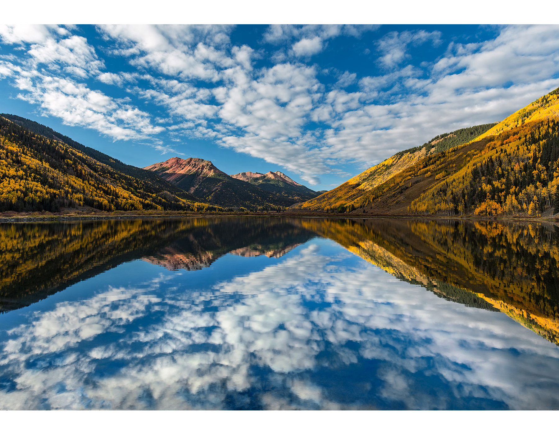 Loon Peak® Assiyah Wallpaper | Wayfair