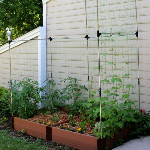 Frame It All 72'' H x 48'' W Steel Folding Trellis & Reviews | Wayfair