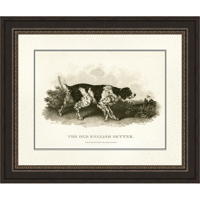 Red Barrel Studio® Antique English Setter - Picture Frame Graphic Art ...