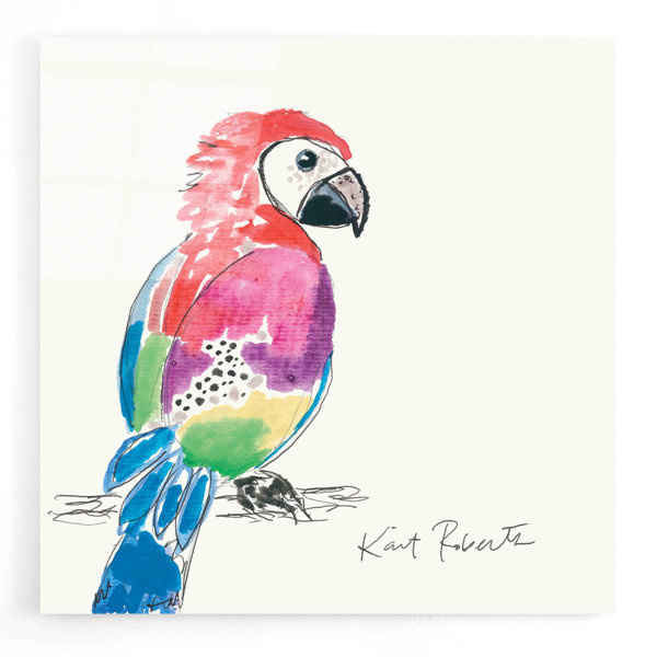 Bay Isle Home Epic Art 'Preston The Parrot' By Kait Roberts, Acr ...