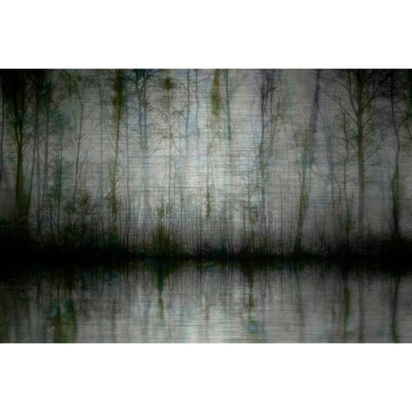 Union Rustic Wispy Trees Reflect by Parvez Taj - Photograph on Metal ...