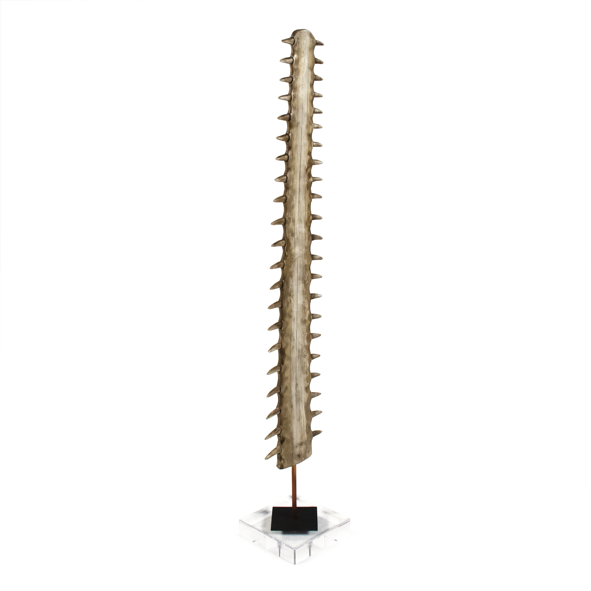 Millwood Pines Sawtooth on Acrylic Stand | Wayfair