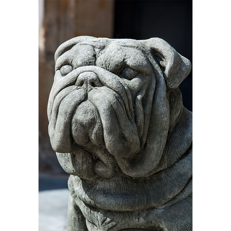 Campania International, Inc Antique Bulldog Statue | Wayfair