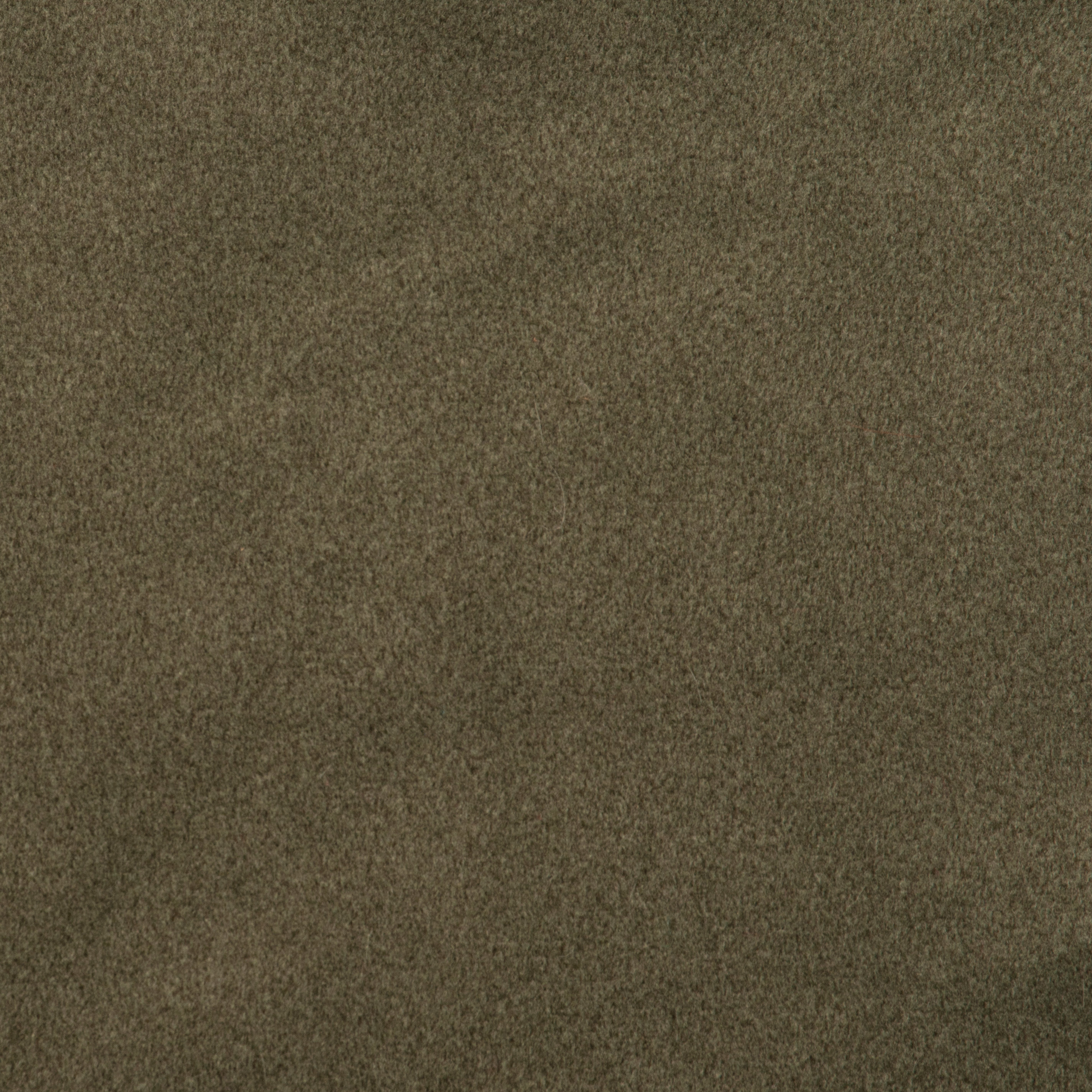 Wooded River Comfy Fabric | Wayfair