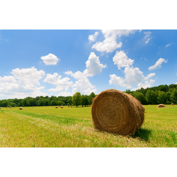 Ebern Designs Field Of Hay Cut by - Wrapped Canvas Photograph | Wayfair