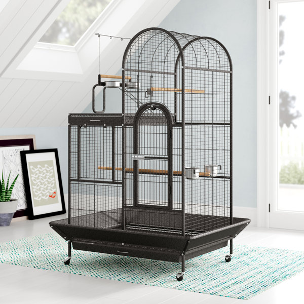 Macaw-cages | Wayfair