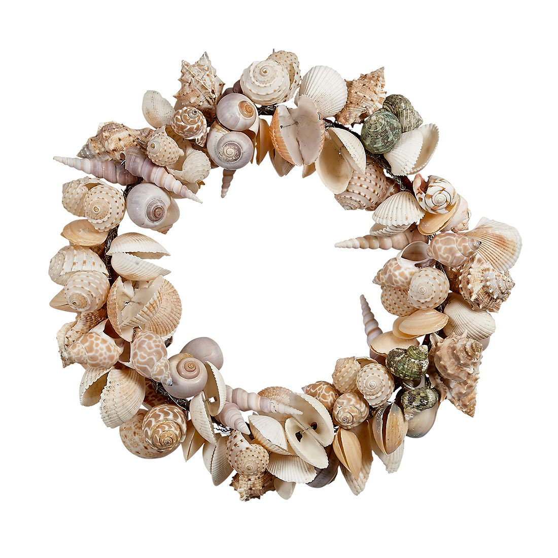 Highland Dunes Shell 11'' Wreath & Reviews | Wayfair