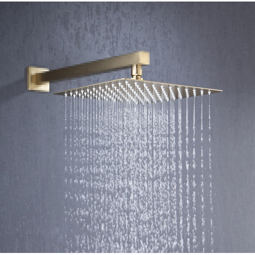 Rainlex Rain Fixed Shower Head & Reviews | Wayfair