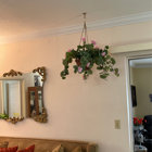 Pure Garden Artificial Geranium Hanging Basket & Reviews | Wayfair