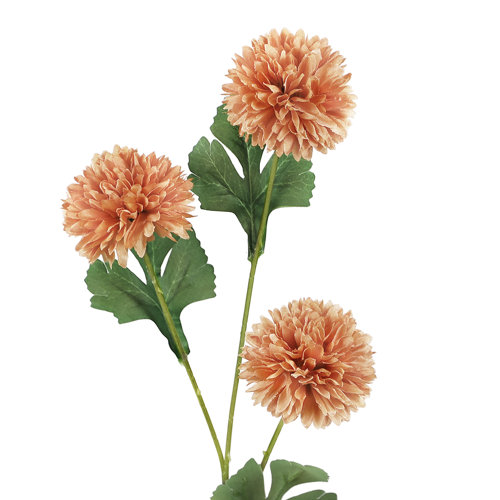 Primrue Ball Mum Pom Pom Flower Stem | Wayfair