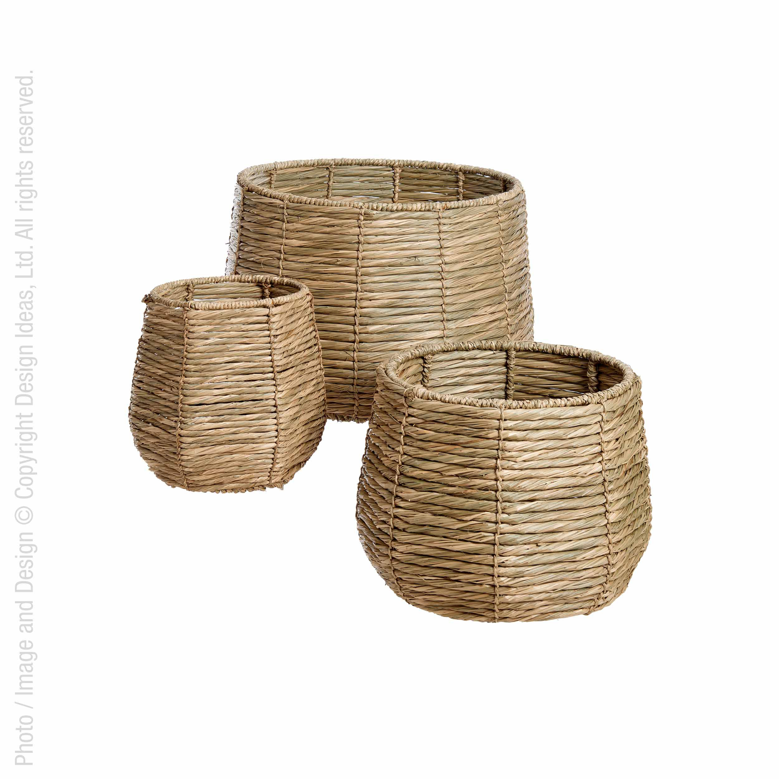Design Ideas 3 Piece Wire General Basket Set | Wayfair