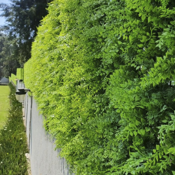 GreenSmart Dekor 1.5 ft. H x 1.5 ft. W Artificial Leaf Maya Fence Panel ...