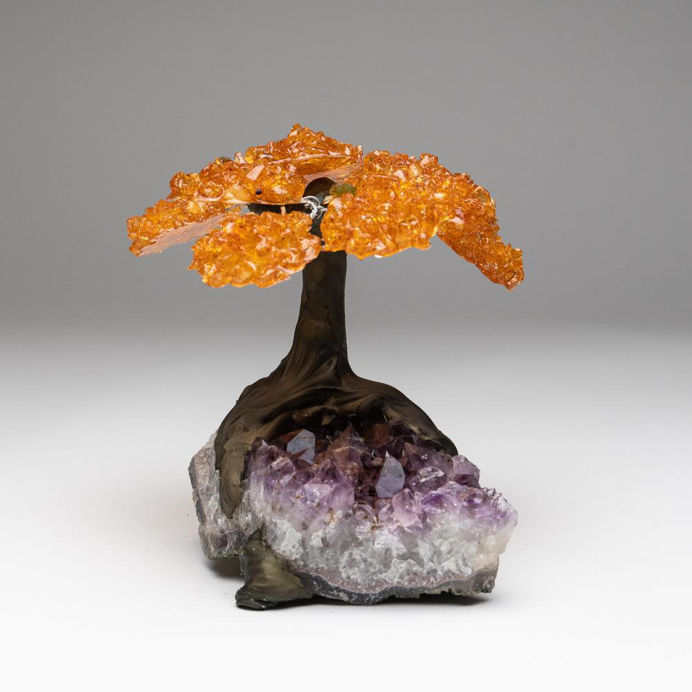 Astro Gallery of Gems Genuine Citrine Clustered Gemstone Tree on ...