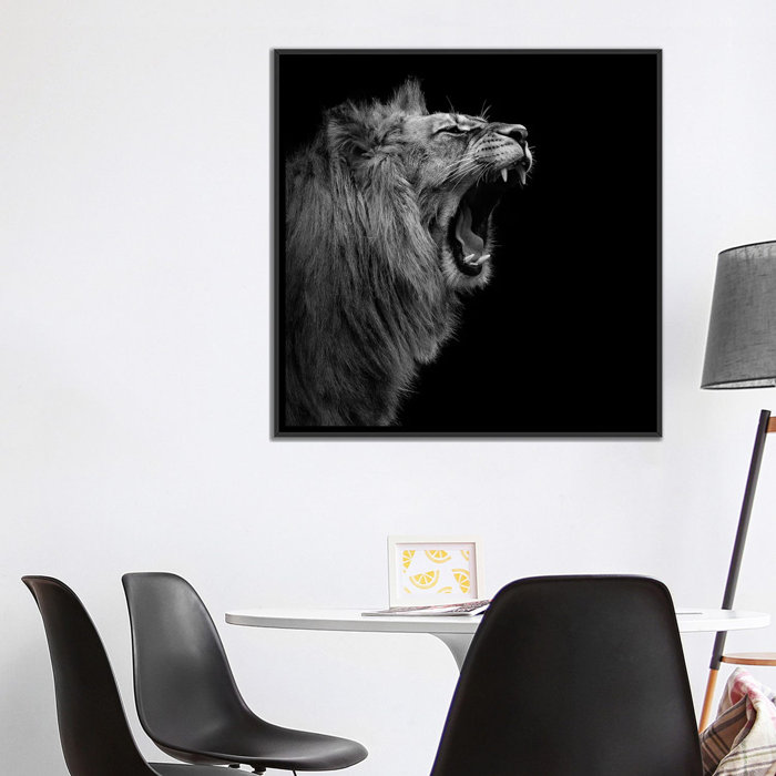 Bless international Lion I On Paper by Lukas Holas Photograph & Reviews ...