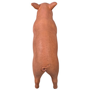 Design Toscano Hop Over Hog, Giant Pig Statue | Wayfair