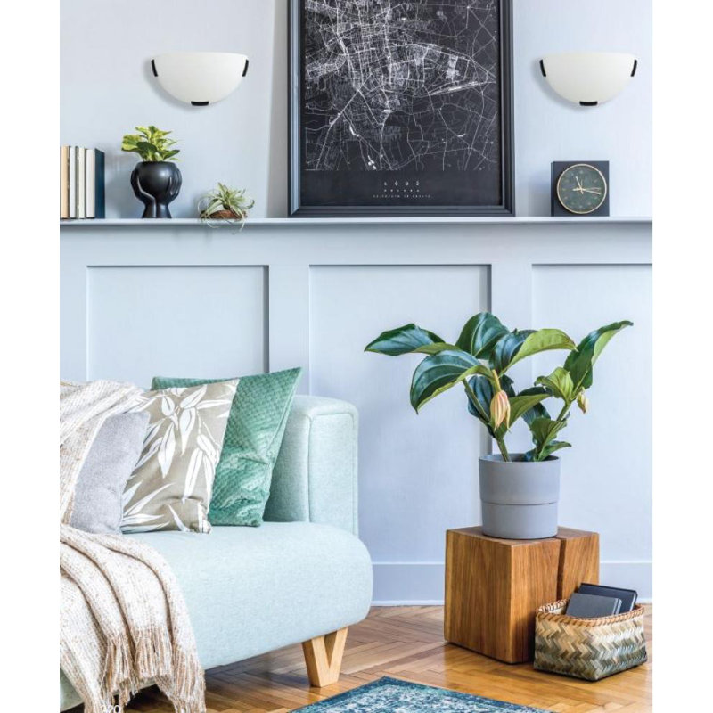 Latitude Run® Aimey Half Moon | Wayfair