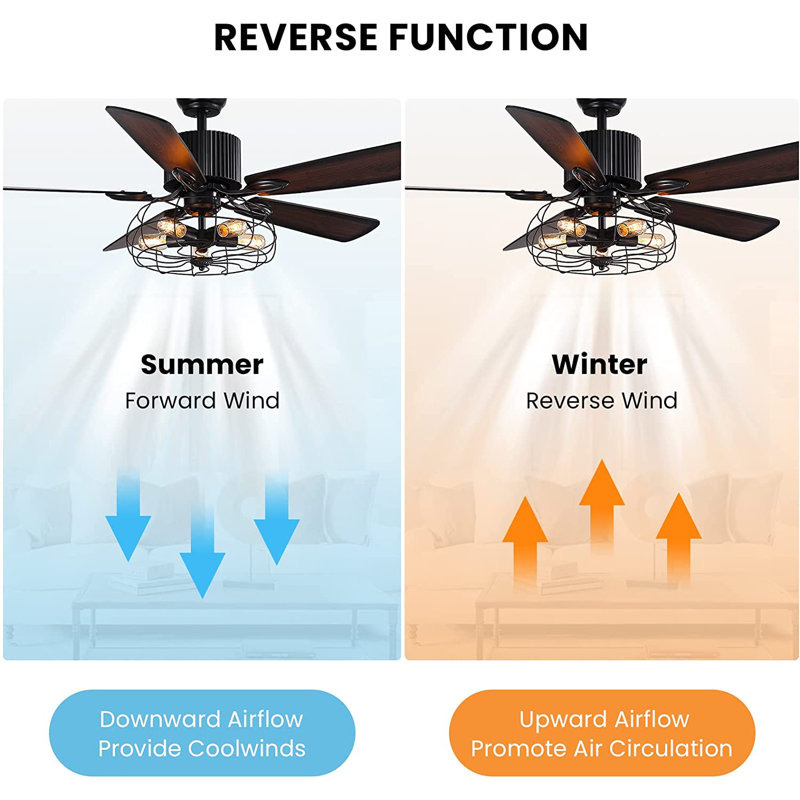 Williston Forge Deshard 20'' Ceiling Fan with LED Lights | Wayfair