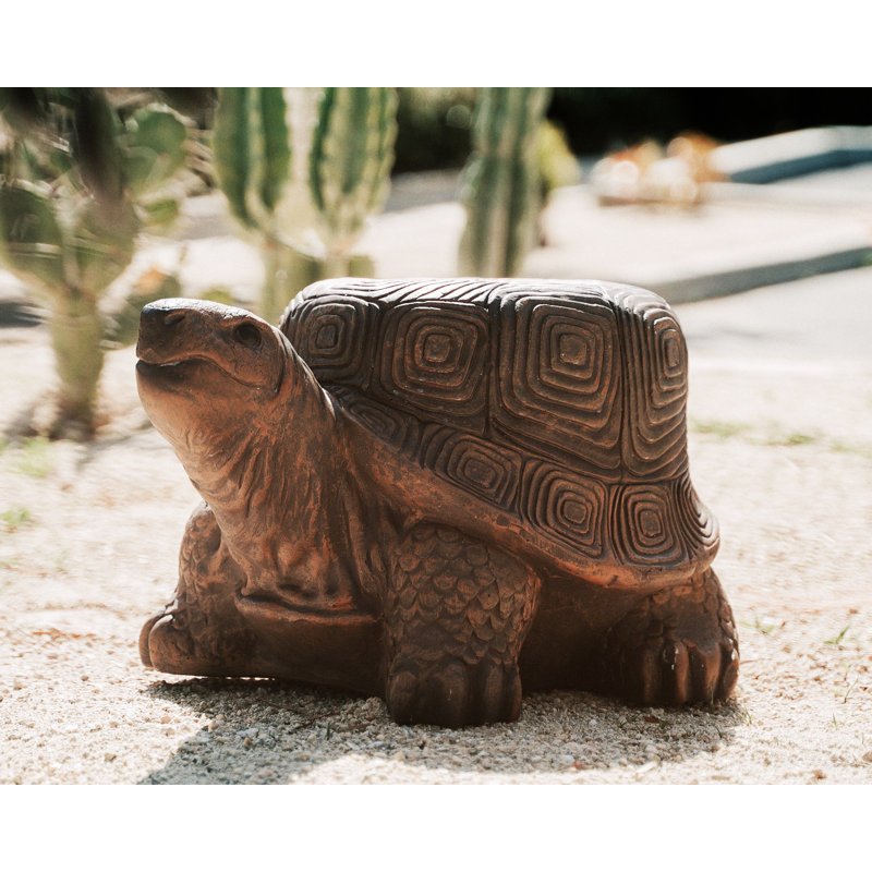 Bayou Breeze Yateley Tortoise Garden Statue | Wayfair