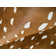 Cowhidesusa Handmade Axis Deer Print Cowhide Leather Medium Brown Rug ...
