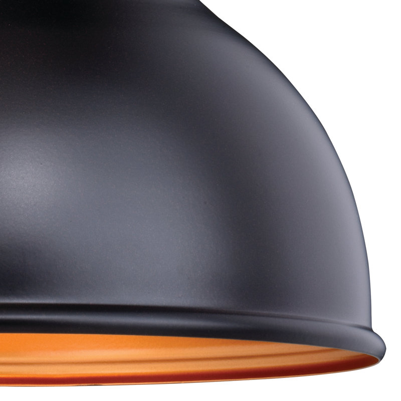 Flavin Outdoor Pendant & Reviews | Birch Lane