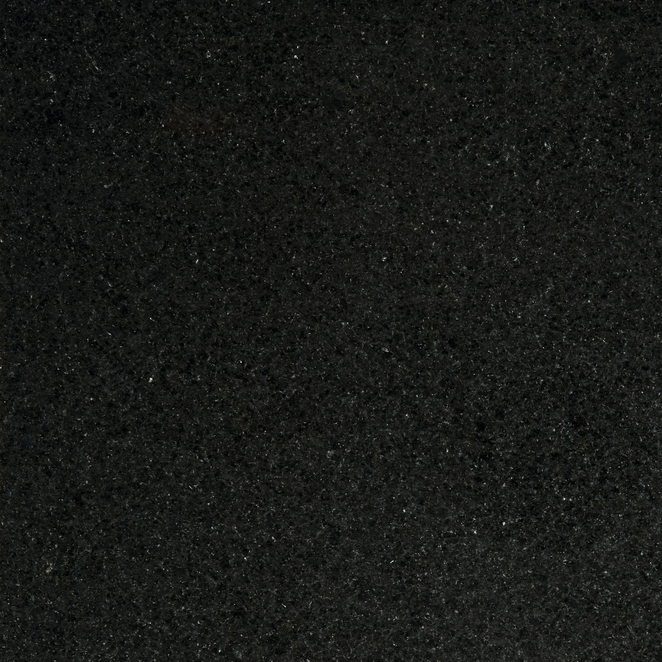 Emser Tile Natural Stone 12" x 12" Tile | Wayfair