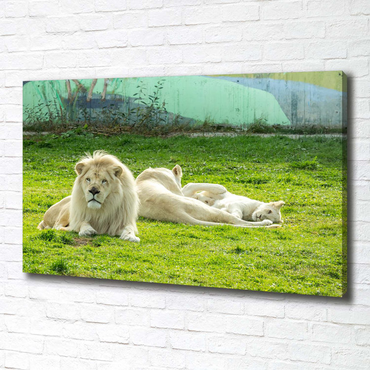 Brayden Studio Beige Lions - Unframed Art Prints on Canvas | Wayfair.co.uk