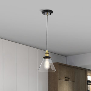 Breakwater Bay Mateo 1-light Black And Antique Brass Mini Pendant Light ...
