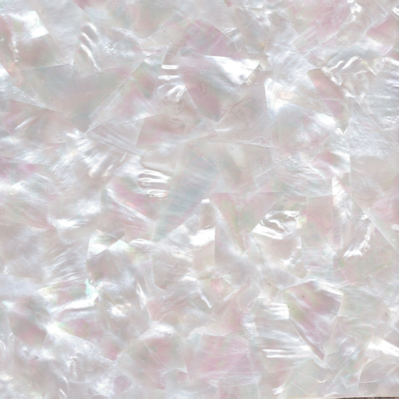 Matrix-Z 1" x 8" Authentic SeaShell Tile Decorative Mosaic in White ...