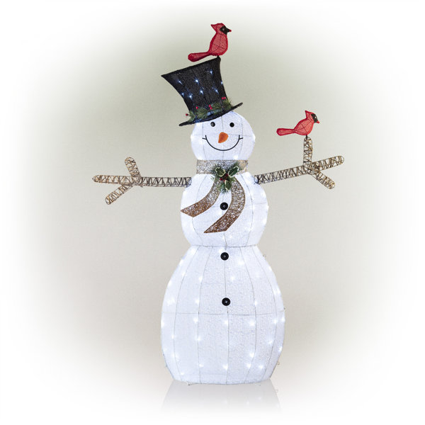 The Holiday Aisle® Snowman Lighted Display & Reviews | Wayfair