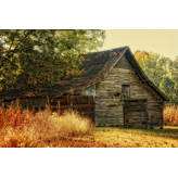 Union Rustic Elegant Compass Wall Décor & Reviews | Wayfair