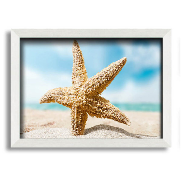 House of Hampton Starfish In Detail Sands Framed Print Wall Art ...