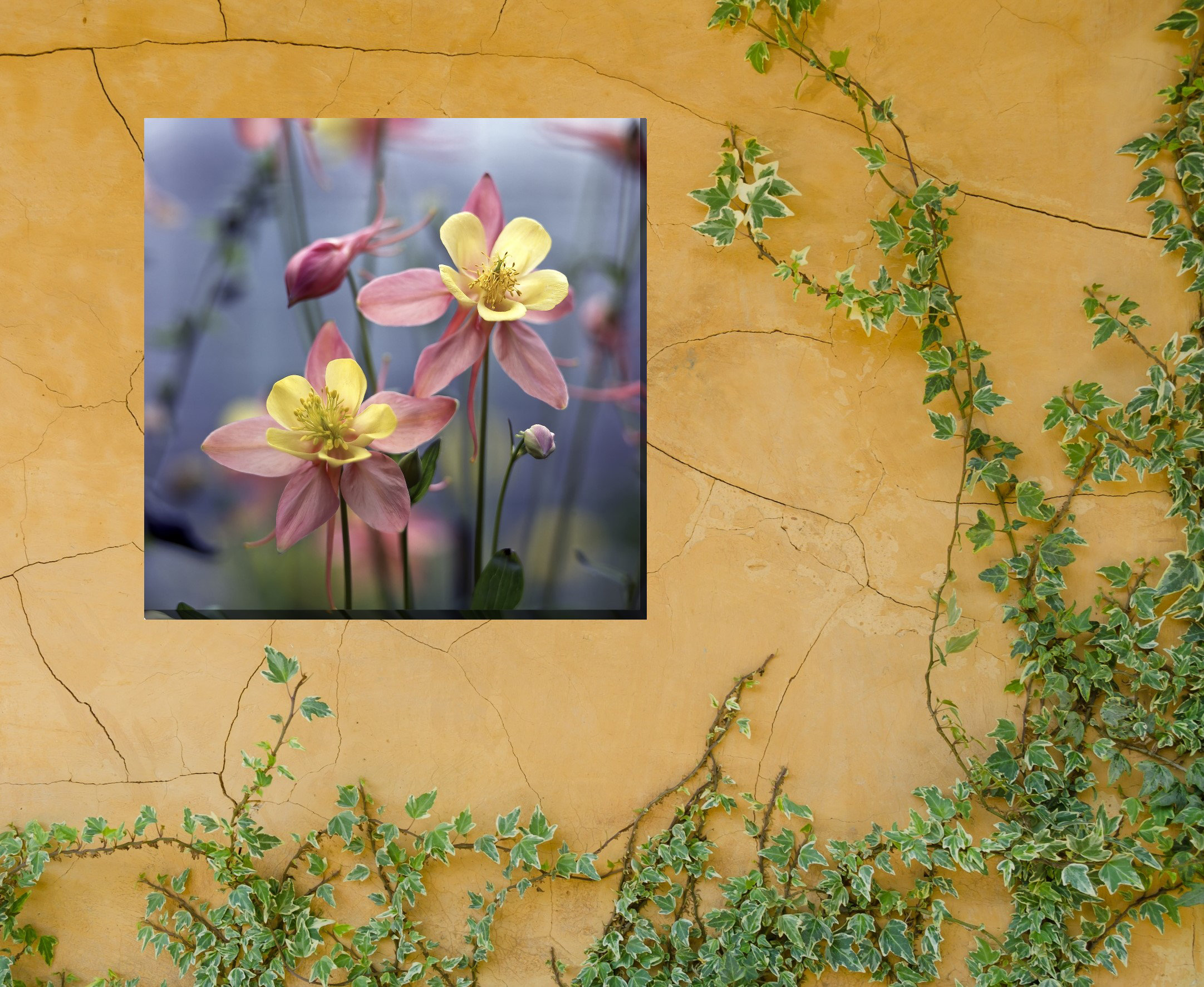 Latitude Run® Columbine #2 Outdoor Wall Decor | Wayfair