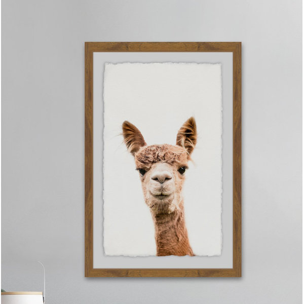 Brayden Studio® Llama Face II - Picture Frame Graphic Art | Wayfair
