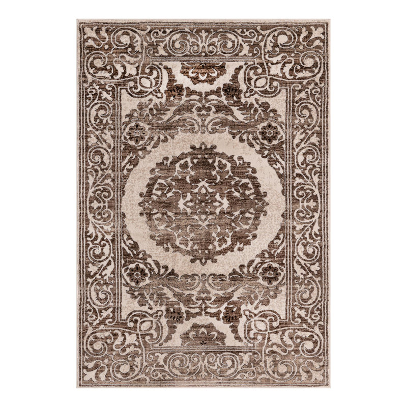 Lark Manor Almarosa Chocolate Brown/Cream Rug & Reviews | Wayfair