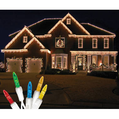 The Holiday Aisle® Air Blown Turkey in Pot Inflatable | Wayfair