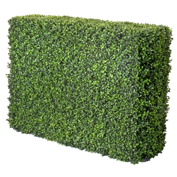 Wade Logan® 40'' Faux Boxwood Hedge | Wayfair