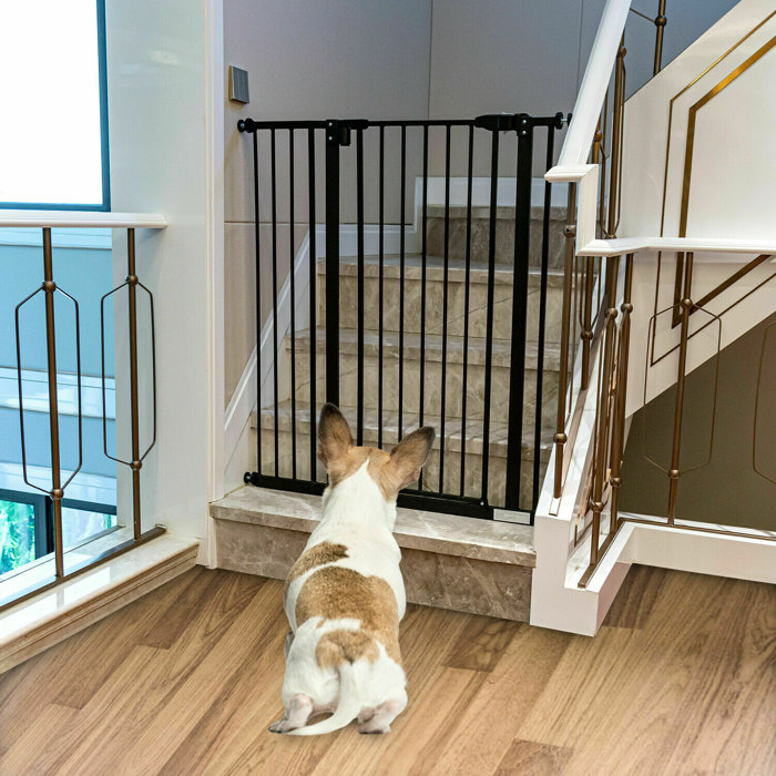 Tucker Murphy Pet™ Wall Mounted Pet Gate | Wayfair