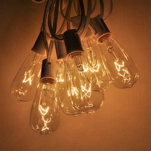 HometownEvolutionInc Edison String Lights Outdoor 50 - Bulb Plug-in ...