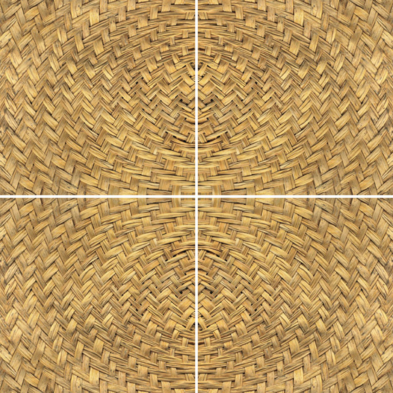 Imagine Tile, Inc. Polynesian 8" x 8" Ceramic Patterned Wall & Floor ...