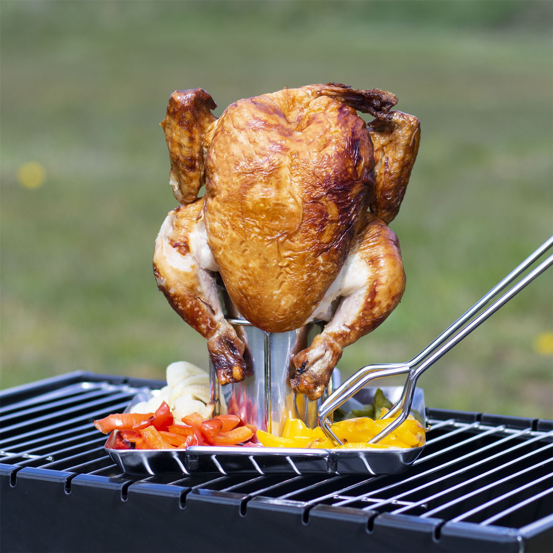 Dakota Fields Annalyah Beer Can | Wayfair.co.uk