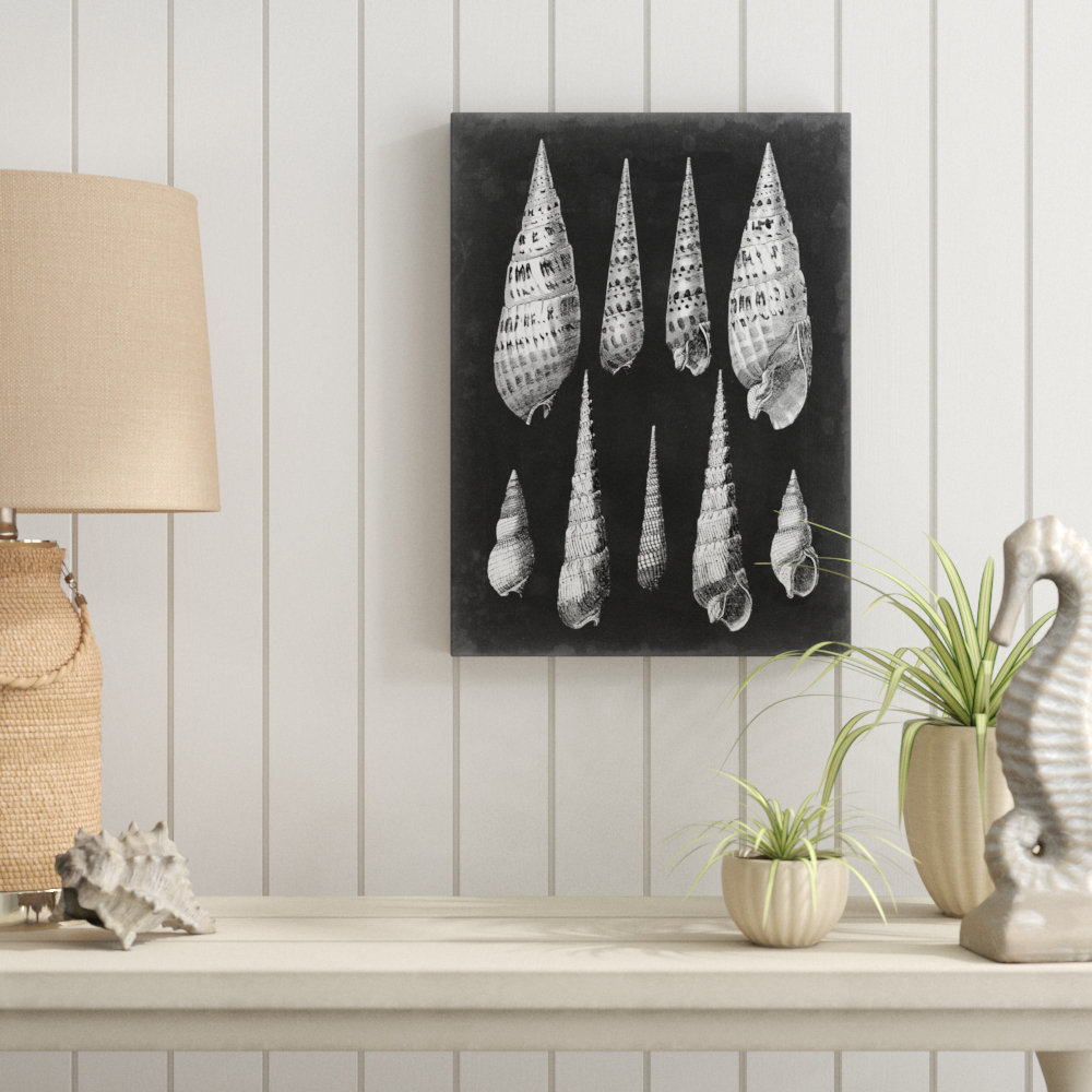 Highland Dunes Alabaster Shells II On Canvas by Vision Studio Drawing ...