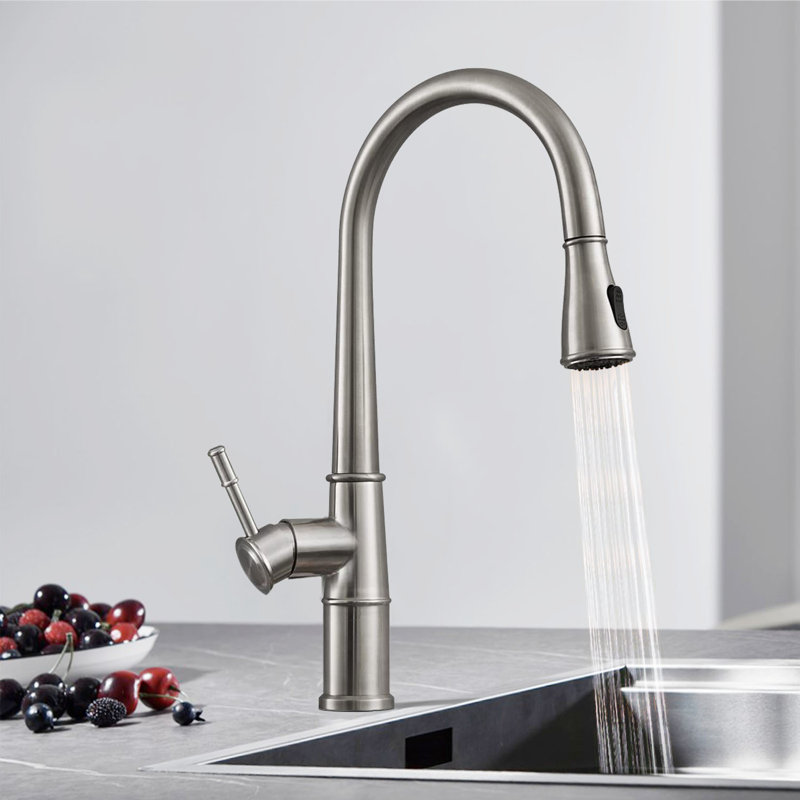 Topcraft Pull Out Kitchen Faucet | Wayfair