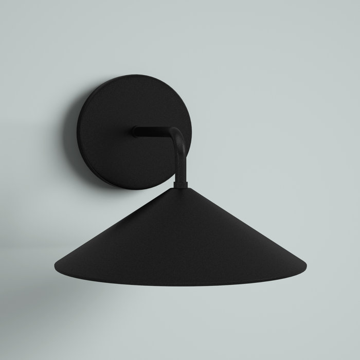 Steelside™ Johnson LED Wall Light | Wayfair