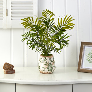 Wayfair | Indoor Plants in Decorative Vase You'll Love in 2023