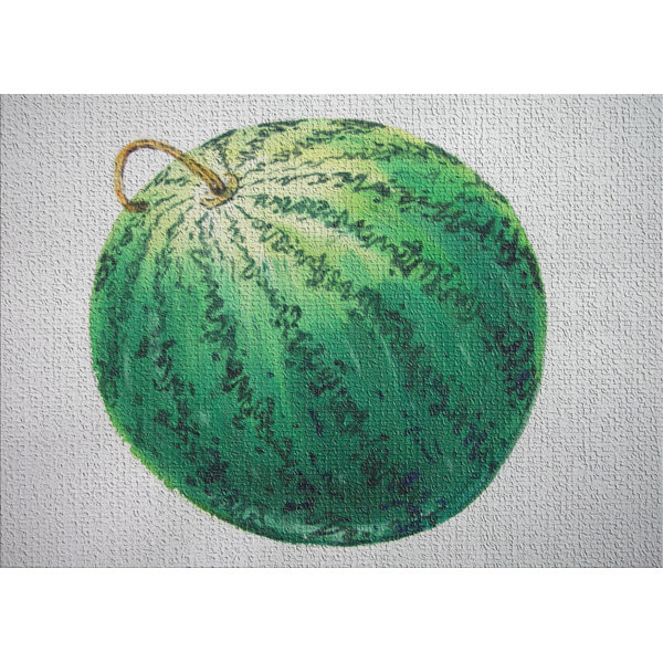 Watermelon-color-rug | Wayfair