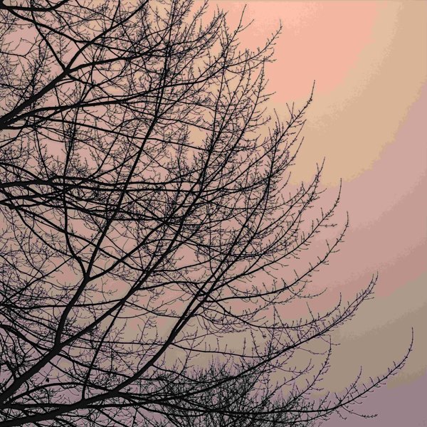 Ebern Designs Tree Silhouette Ii Black On Pink - Wrapped Canvas Print ...