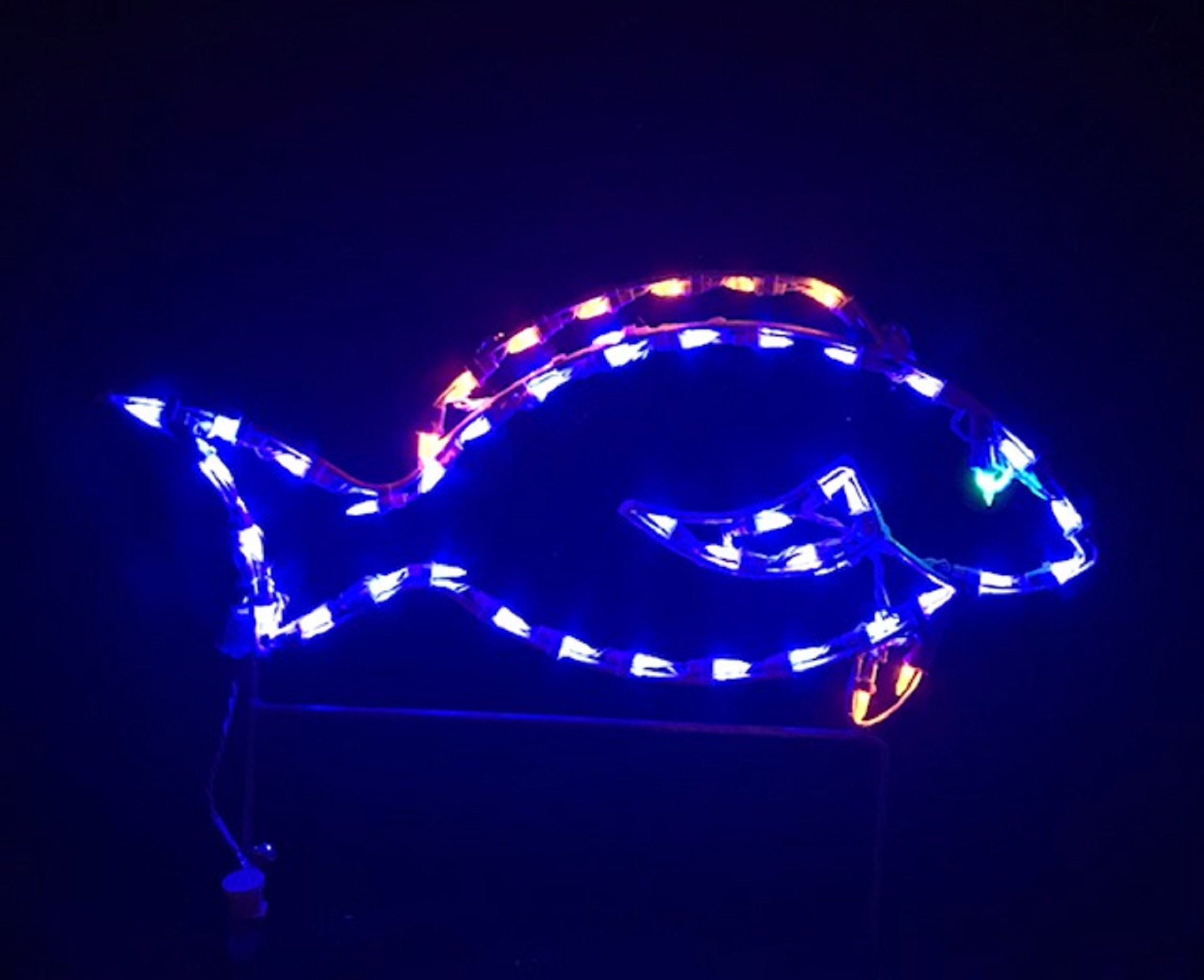 Lori's Lighted D'Lites Tropical Fish Nautical Lighted Display | Wayfair